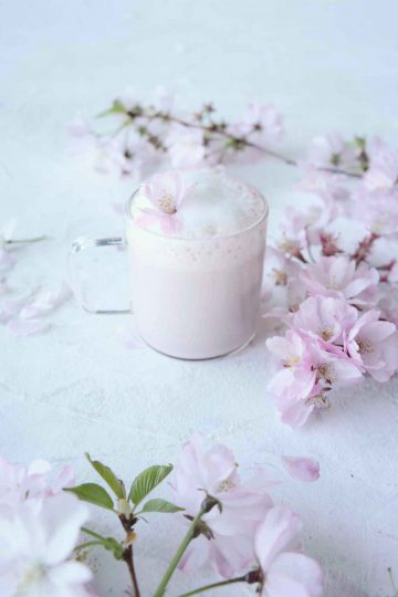 Sakura Latte at home: Cherry blossom drink - SimplyBeyondHerbs