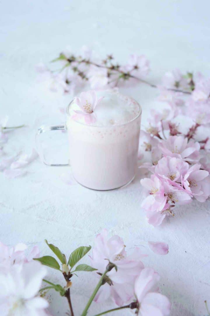 Sakura Latte at home: Cherry blossom drink - SimplyBeyondHerbs