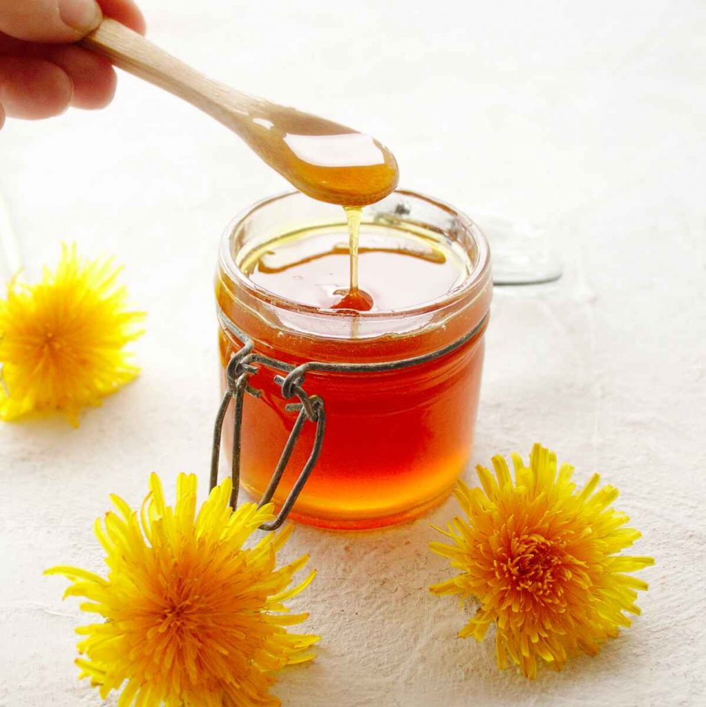 Vegan dandelion honey, aka Dandelion syrup - SimplyBeyondHerbs