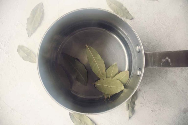 How to Make Bay Leaf Tea with Benefits. - SimplyBeyondHerbs
