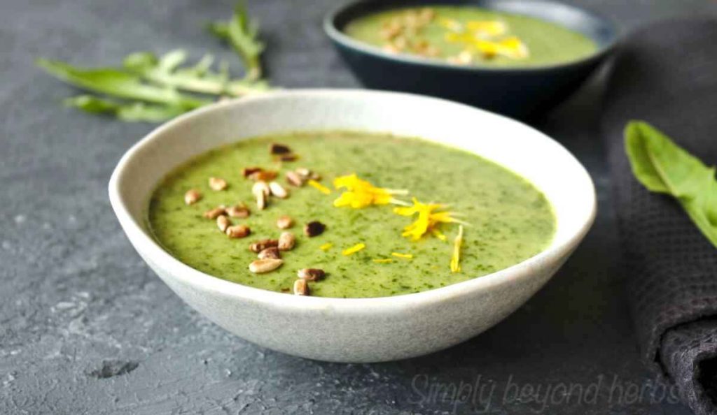 Wild and creamy dandelion soup recipe - SimplyBeyondHerbs