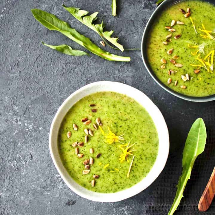 Wild and creamy dandelion soup recipe - SimplyBeyondHerbs