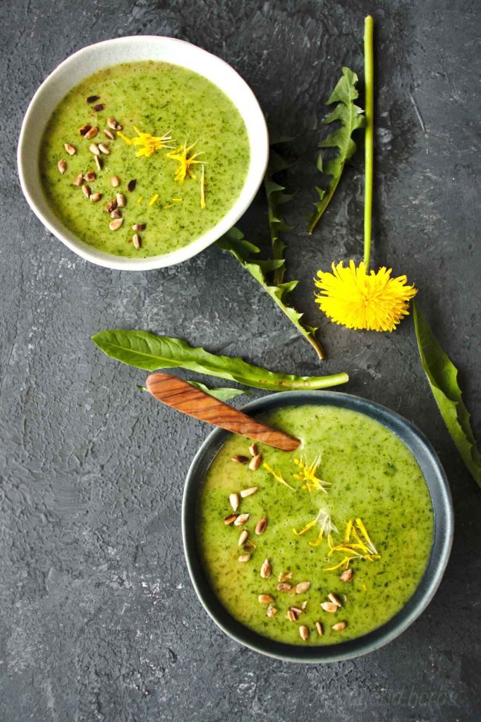 Wild and creamy dandelion soup recipe - SimplyBeyondHerbs