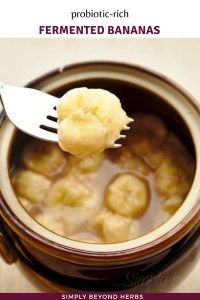 Use Fermented Bananas to Add Probiotics. - SimplyBeyondHerbs