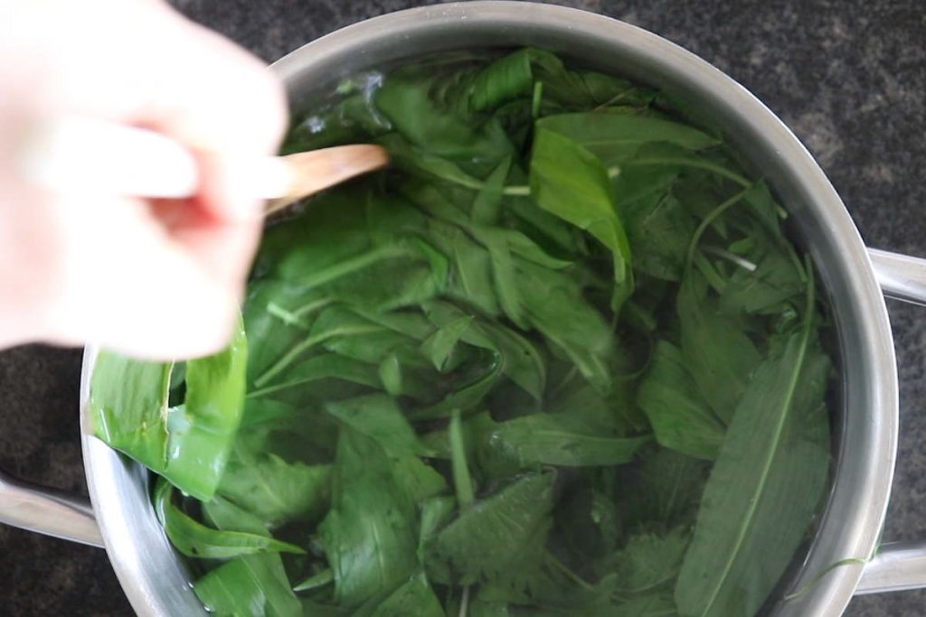 How to make Green Herb Oil using fresh herbs - SimplyBeyondHerbs