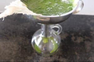 How to make Green Herb Oil using fresh herbs - SimplyBeyondHerbs