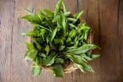 How to make Green Herb Oil using fresh herbs - SimplyBeyondHerbs