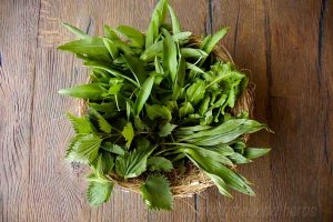 How to make Green Herb Oil using fresh herbs - SimplyBeyondHerbs