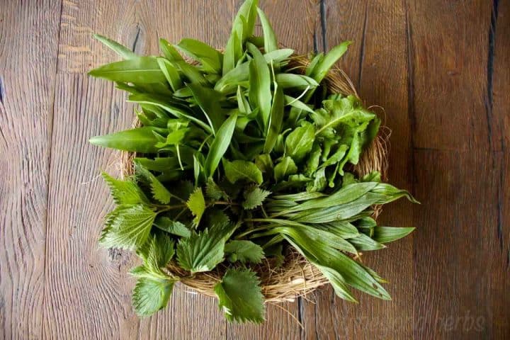 How to make Green Herb Oil using fresh herbs - SimplyBeyondHerbs