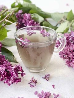 Make Lilac Jelly: A Fragrant Delicacy - SimplyBeyondHerbs