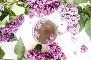 Lilac Tea Recipe from Fresh Lilac Flowers - SimplyBeyondHerbs