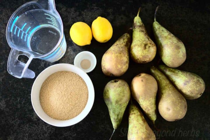 Pear wine recipe from ripe pears - SimplyBeyondHerbs
