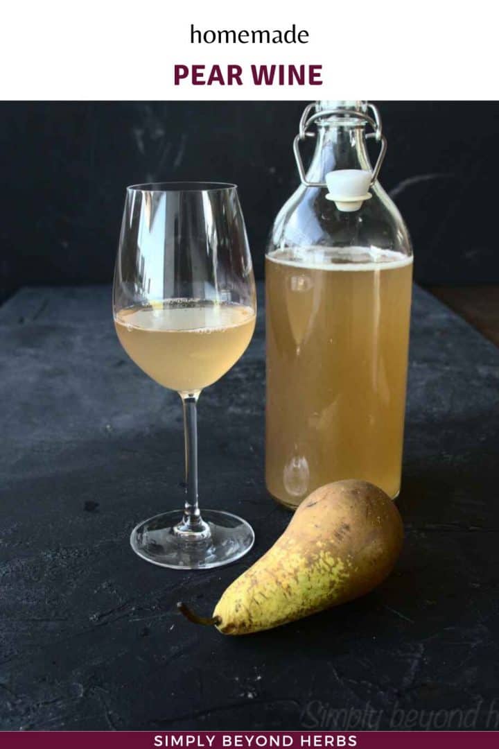 Pear wine recipe from ripe pears - SimplyBeyondHerbs