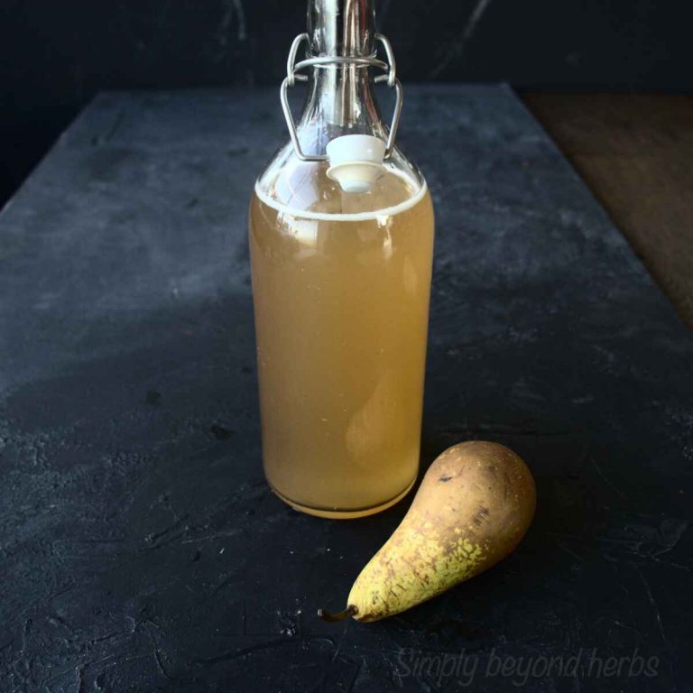 Pear wine recipe from ripe pears - SimplyBeyondHerbs