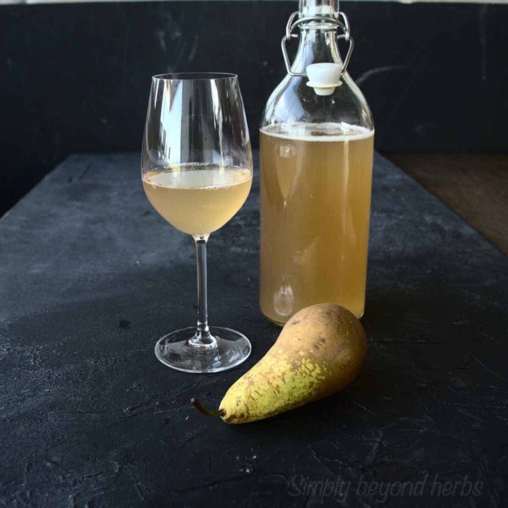 Pear wine recipe from ripe pears - SimplyBeyondHerbs