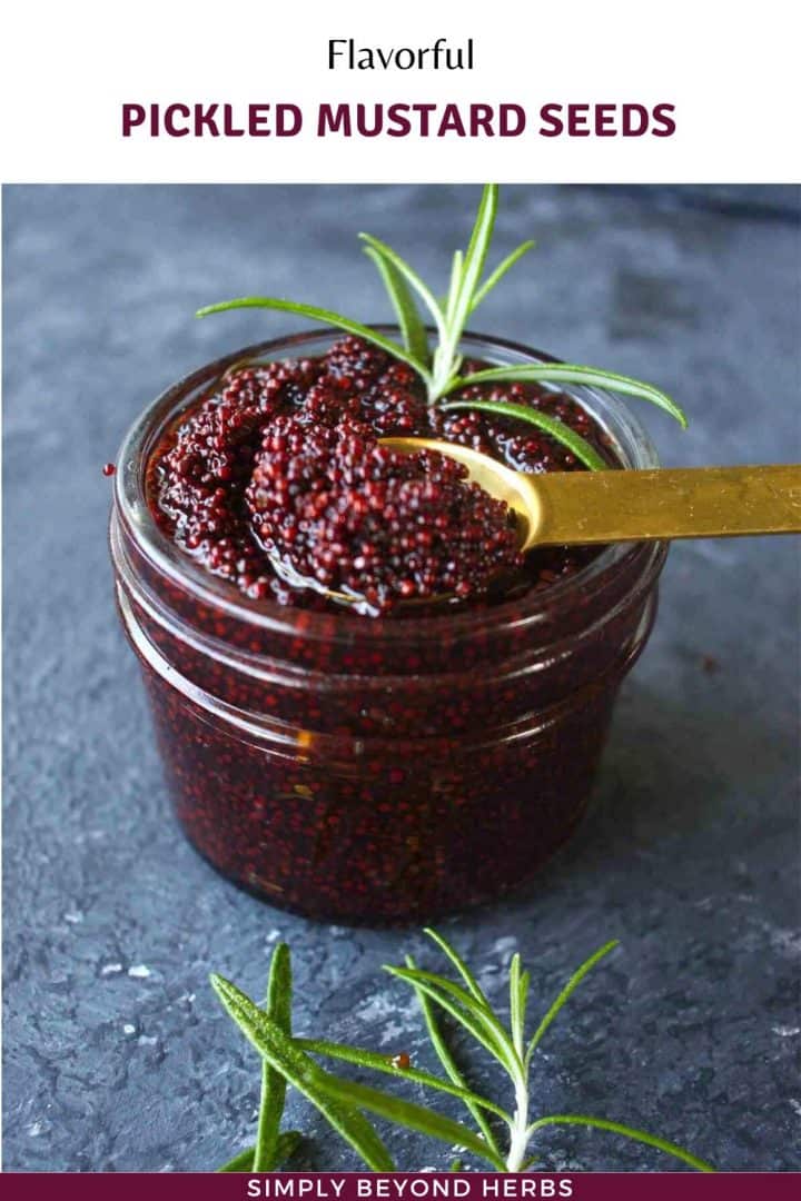 Pickled mustard seeds and 15 ways to use them. - SimplyBeyondHerbs