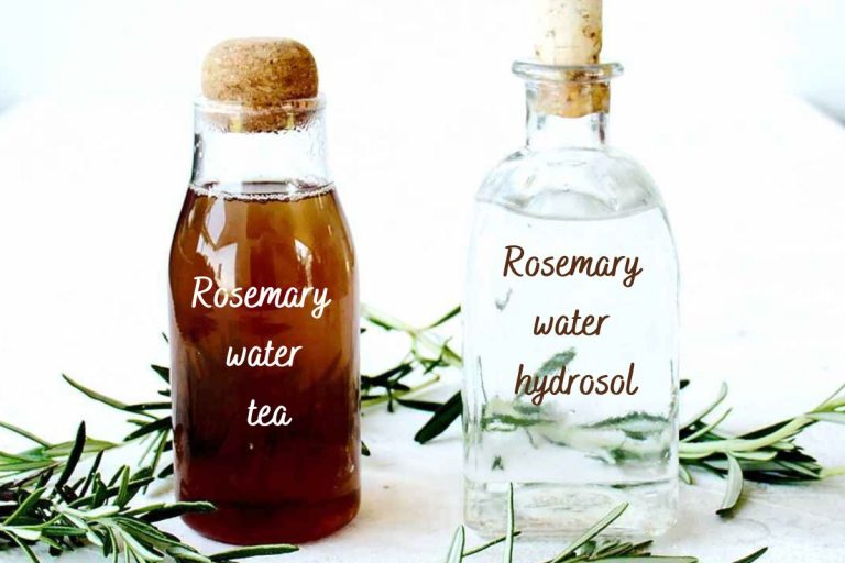 2 ways to make Rosemary water for hair growth - SimplyBeyondHerbs