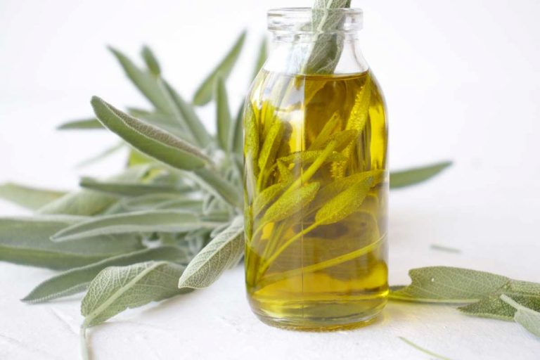 Thyme and Sage: From Kitchen to Medicine Cabinet - SimplyBeyondHerbs