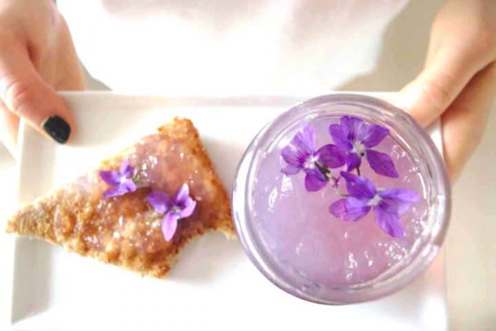 Wild Violet jelly recipe to bring summer to your kitchen ...