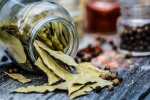 How to Make Bay Leaf Tea with Benefits. - SimplyBeyondHerbs