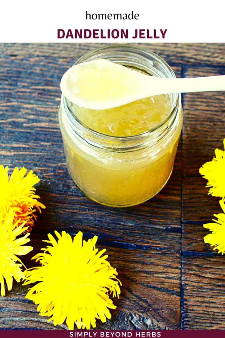 Wild and Delicious Dandelion Jelly recipe - SimplyBeyondHerbs