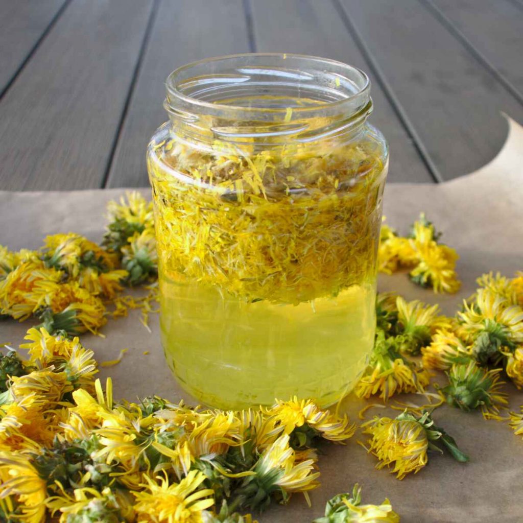 Wild and Delicious Dandelion Jelly recipe - SimplyBeyondHerbs