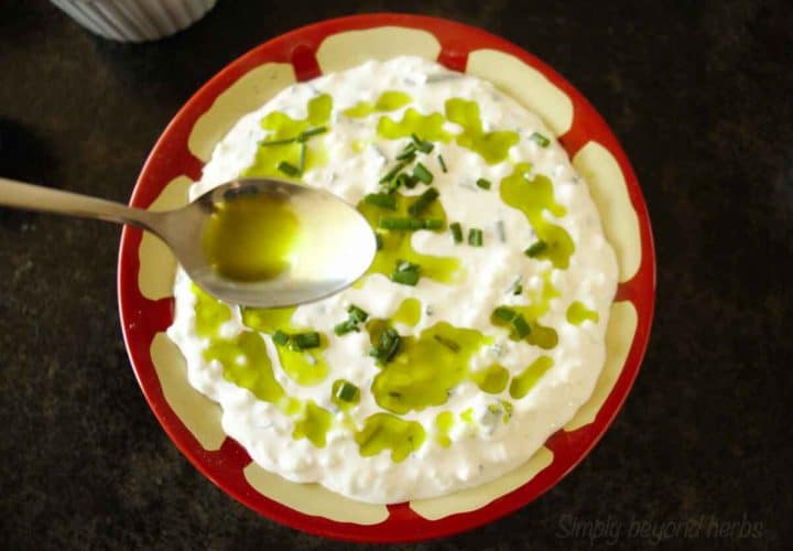 5 ingredients Sour Cream and Chive Dip Recipe - SimplyBeyondHerbs