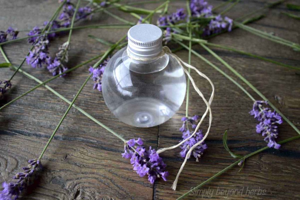 10 Lavender Flower Meanings and Symbolism - SimplyBeyondHerbs
