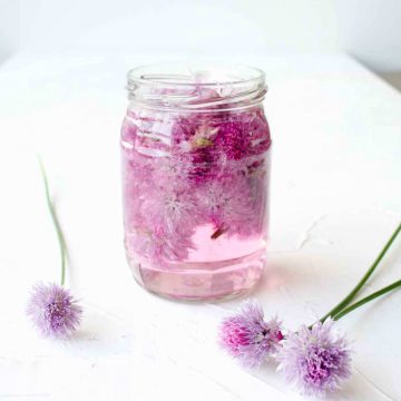Make Chive Blossom Vinegar infusion. - SimplyBeyondHerbs