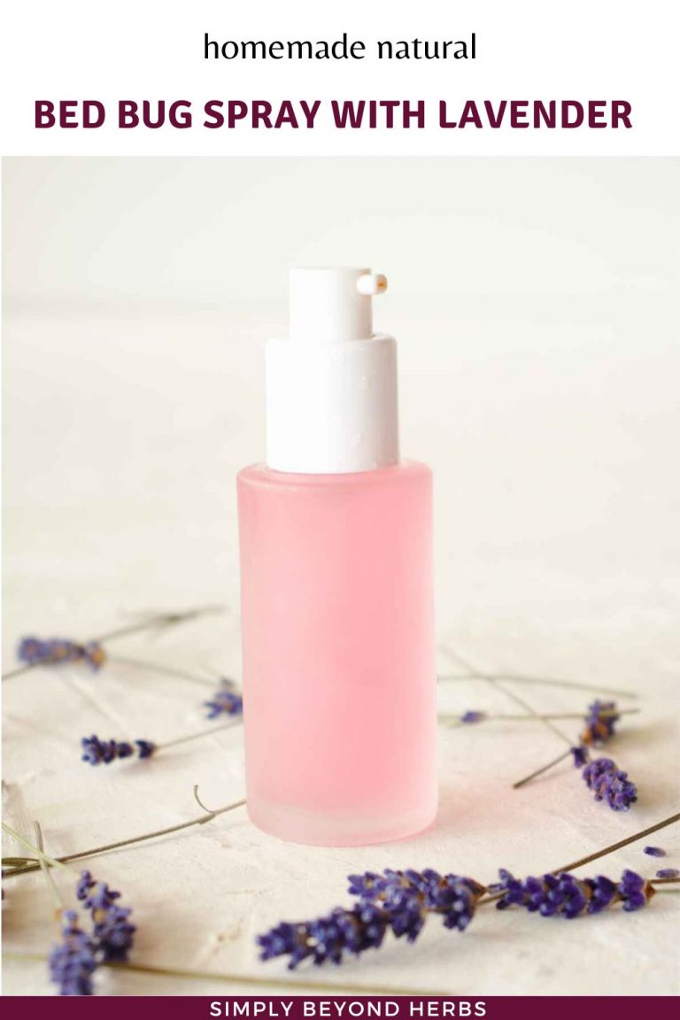 Homemade bed bug spray: get rid of bed bugs fast - SimplyBeyondHerbs