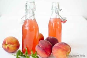 Refreshing Peach Water Recipe - SimplyBeyondHerbs