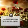250 Captivating Poppy Quotes to Inspire - SimplyBeyondHerbs