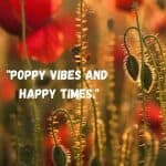 250 Captivating Poppy Quotes to Inspire - SimplyBeyondHerbs