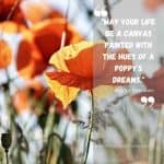 250 Captivating Poppy Quotes to Inspire - SimplyBeyondHerbs
