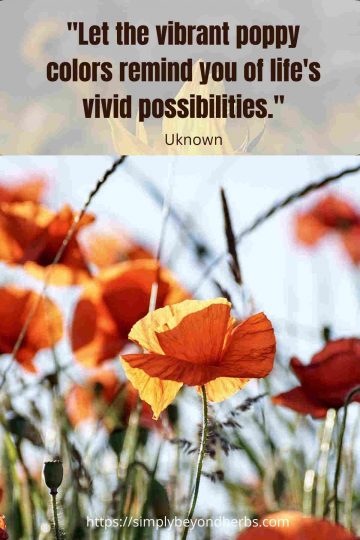 250 Captivating Poppy Quotes to Inspire - SimplyBeyondHerbs