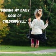 Over 400 Perfect Tree Captions for Instagram - SimplyBeyondHerbs