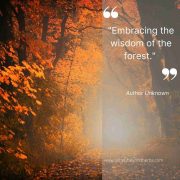 Over 400 Perfect Tree Captions for Instagram - SimplyBeyondHerbs