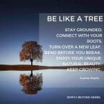 Over 400 Perfect Tree Captions for Instagram - SimplyBeyondHerbs