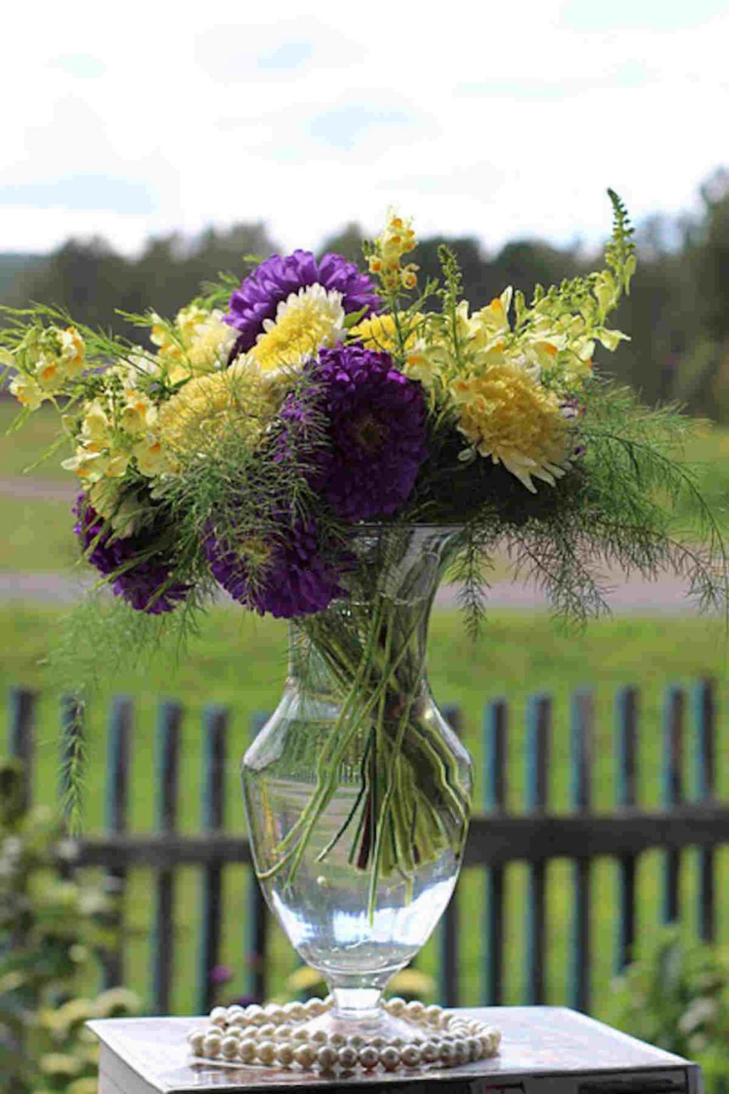 Unlocking the Secrets of Aster Flower Meaning and Symbolism ...