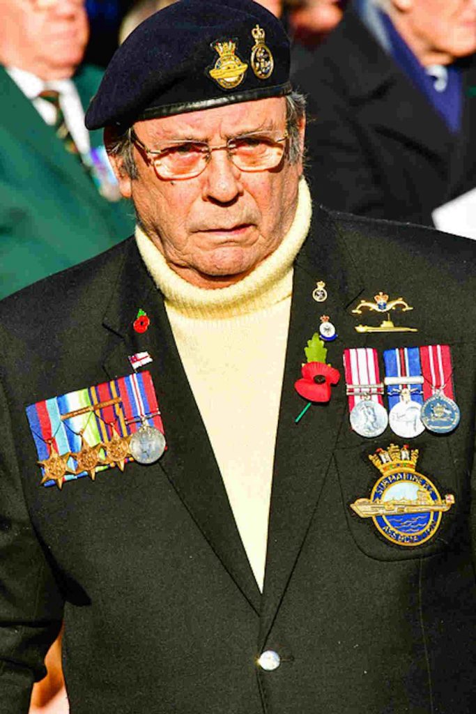 Poppy Flower Meaning and Symbolism: Remembrance and Beyond ...