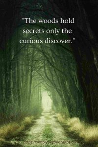 Over 400 Perfect Tree Captions for Instagram - SimplyBeyondHerbs