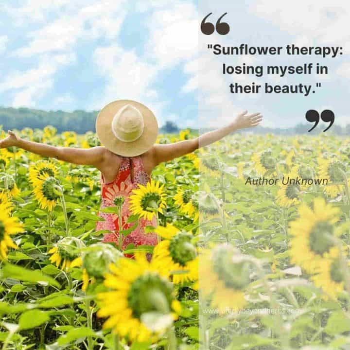 300+ Sunflower Quotes to Brighten Your Day (Perfect for Instagram ...