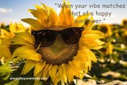 Over 300 perfect Sunflower Captions for Instagram to Brighten ...