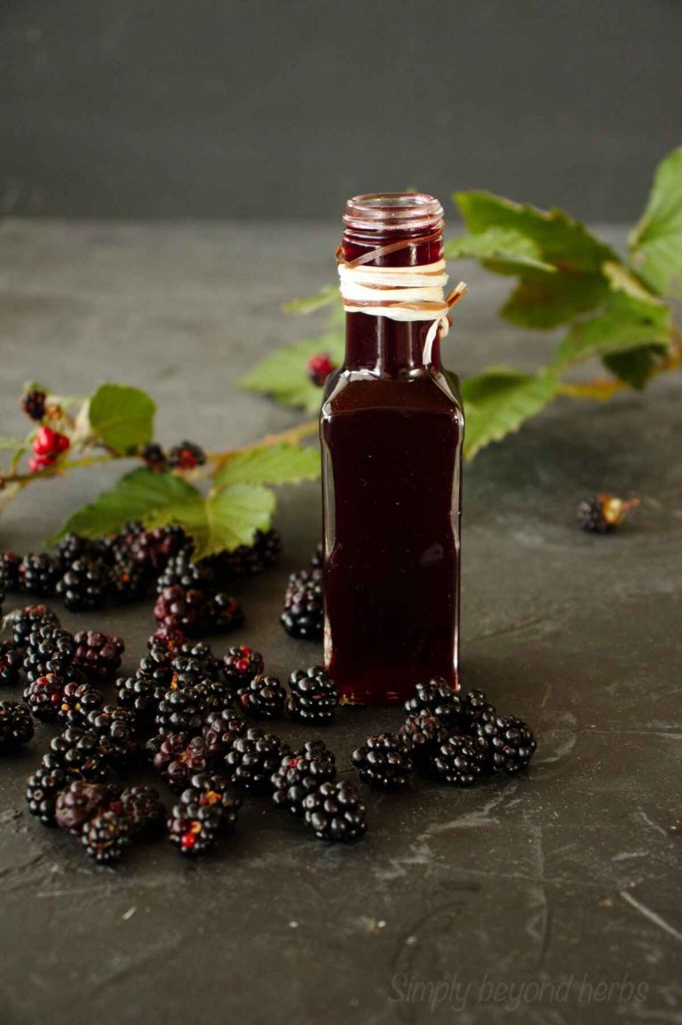 Wild Blackberry Simple Syrup Recipe for Cocktails - SimplyBeyondHerbs