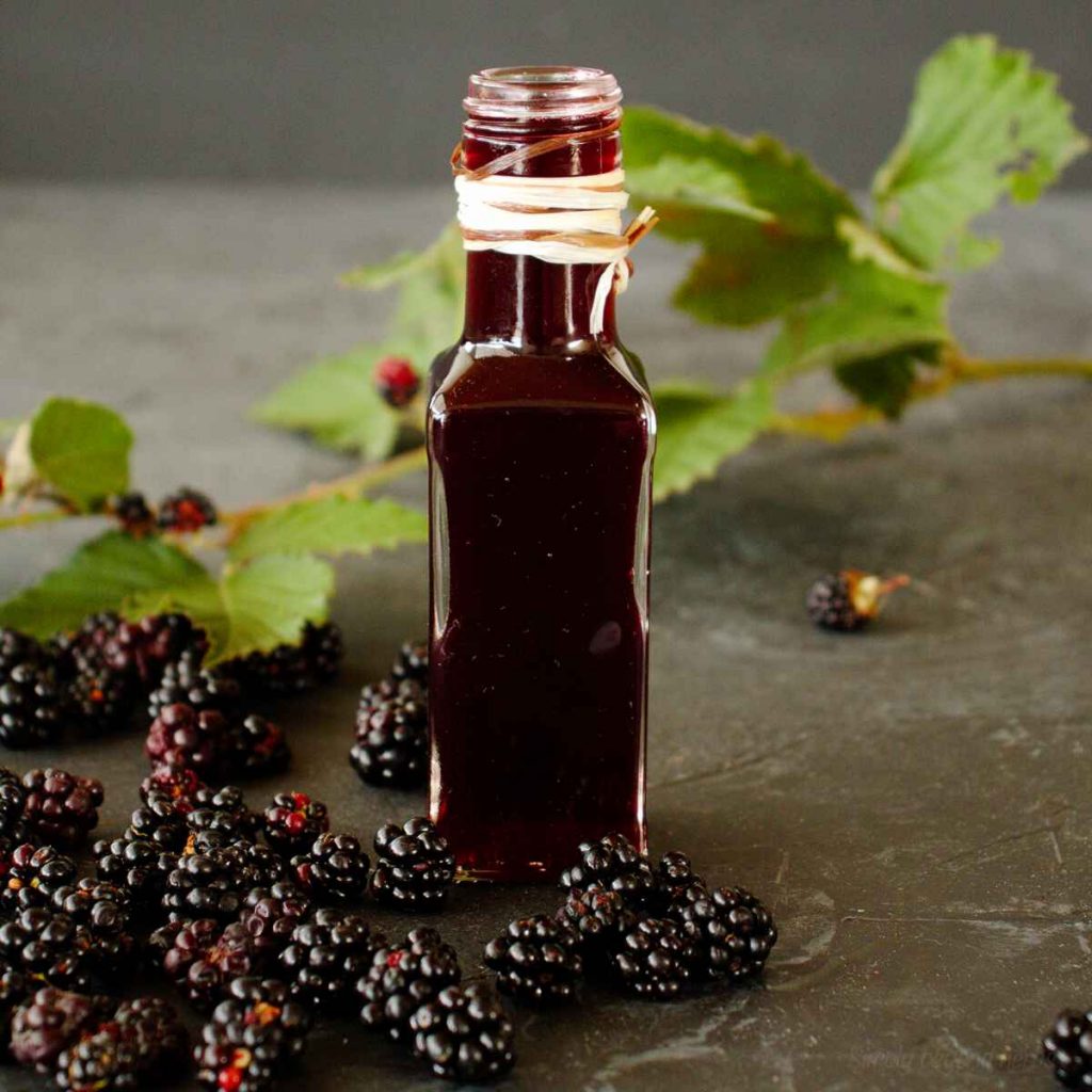 Wild Blackberry Simple Syrup Recipe for Cocktails - SimplyBeyondHerbs