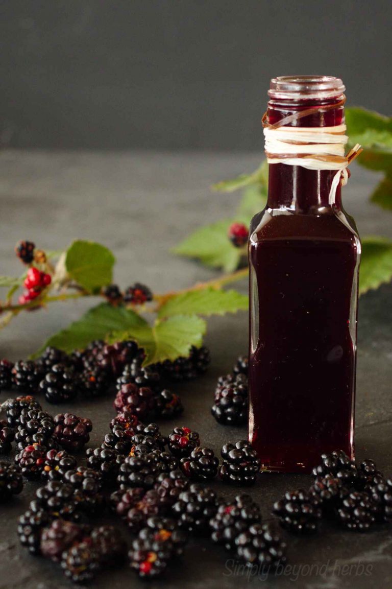 Wild Blackberry Simple Syrup Recipe for Cocktails - SimplyBeyondHerbs
