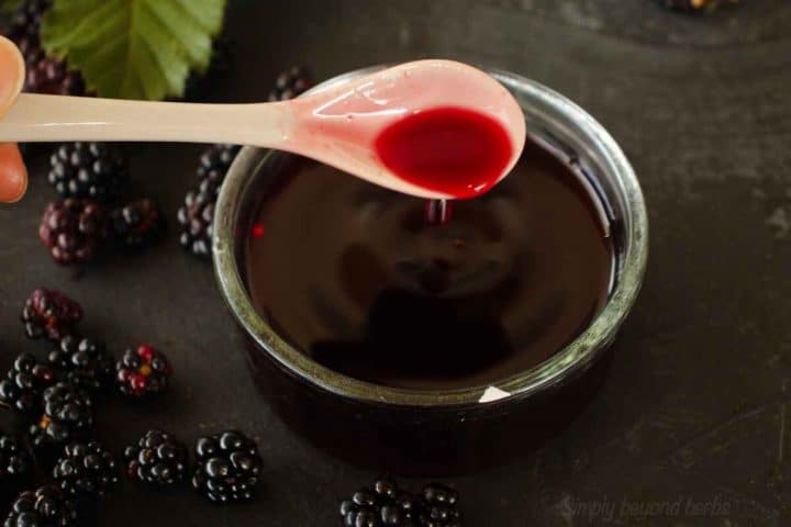 Wild Blackberry Simple Syrup Recipe for Cocktails - SimplyBeyondHerbs