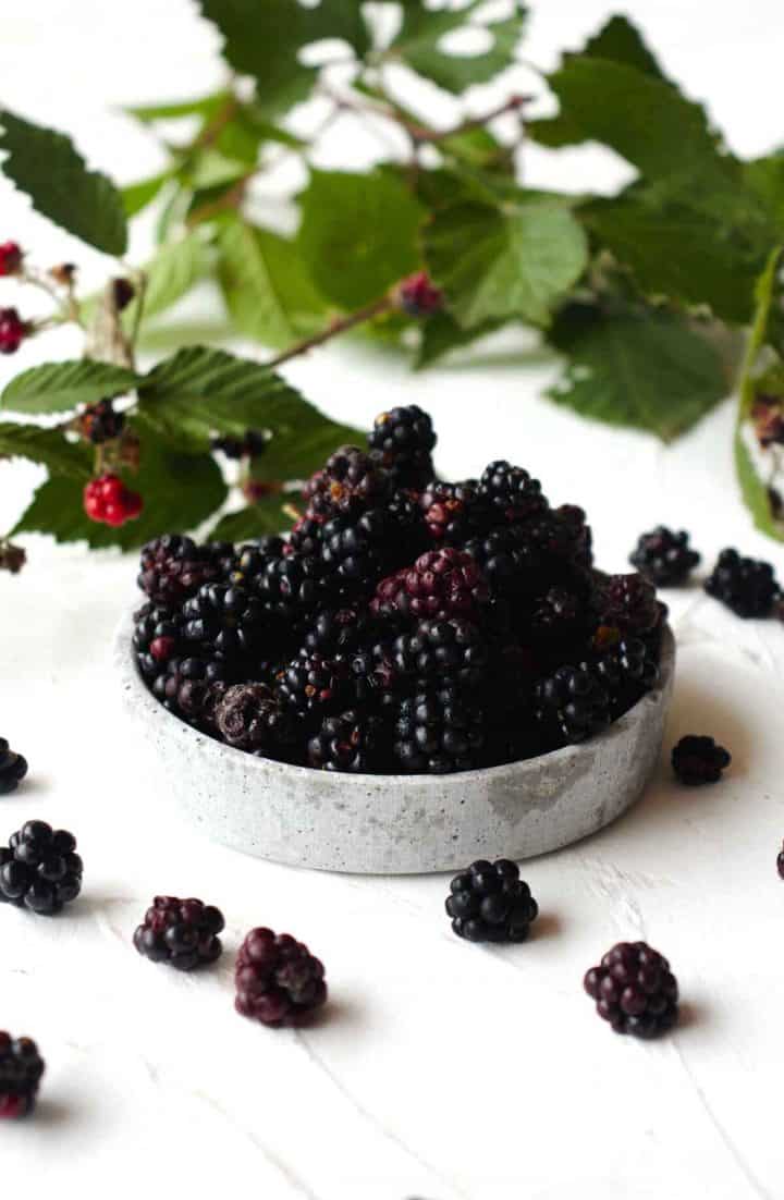 Wild Blackberry Simple Syrup Recipe for Cocktails - SimplyBeyondHerbs