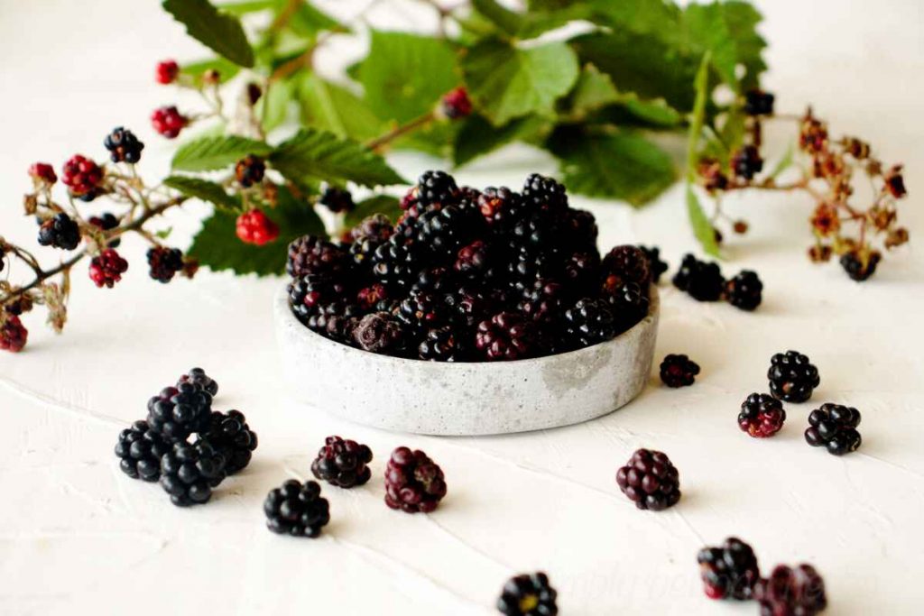 Blackberry tea recipe: 4 ways to make. - SimplyBeyondHerbs