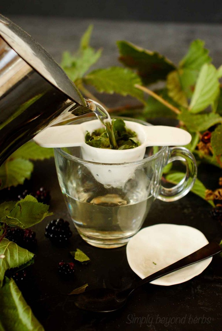 Blackberry tea recipe: 4 ways to make. - SimplyBeyondHerbs